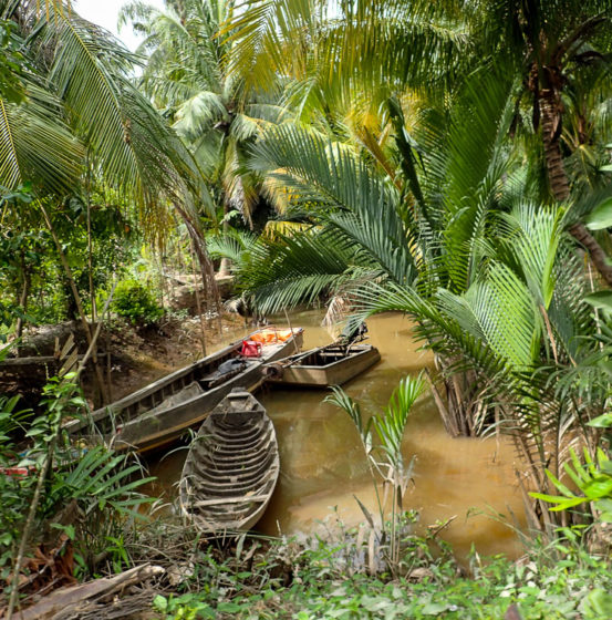 Ben Tre in the Mekong Delta Without a Tour: How to do it