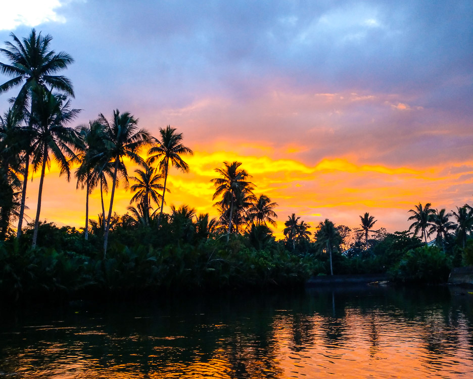 Firefly watching on a sunset river cruise: a little adventure